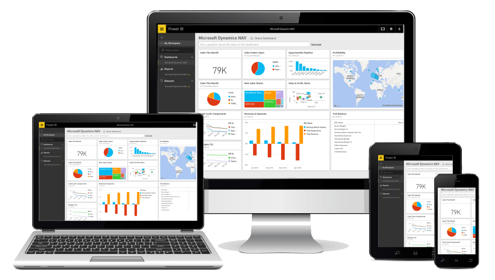 Microsoft Power Bi | AlfaPeople US