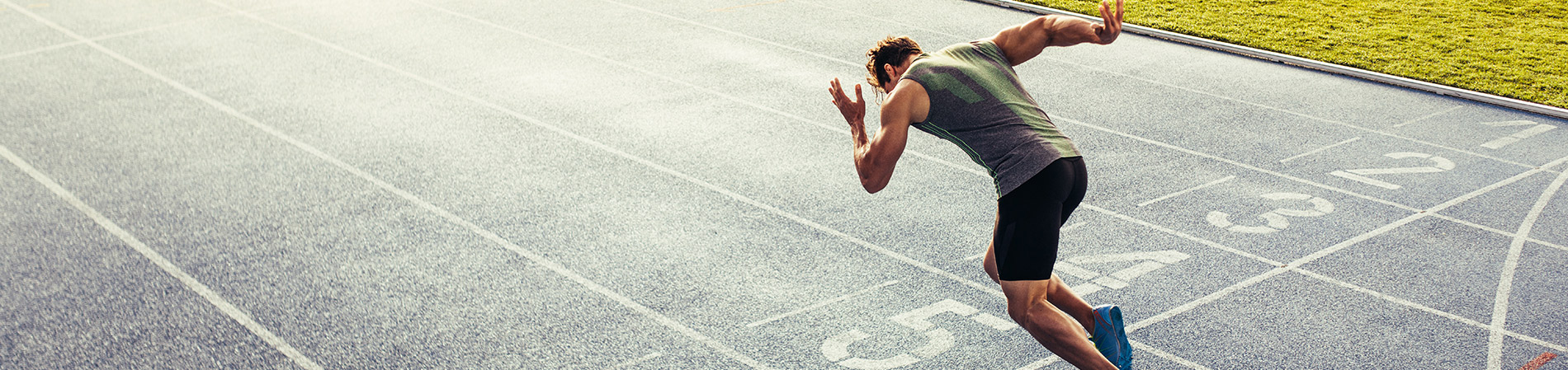 Start&Go™ for Microsoft Dynamics 365 | AlfaPeople US