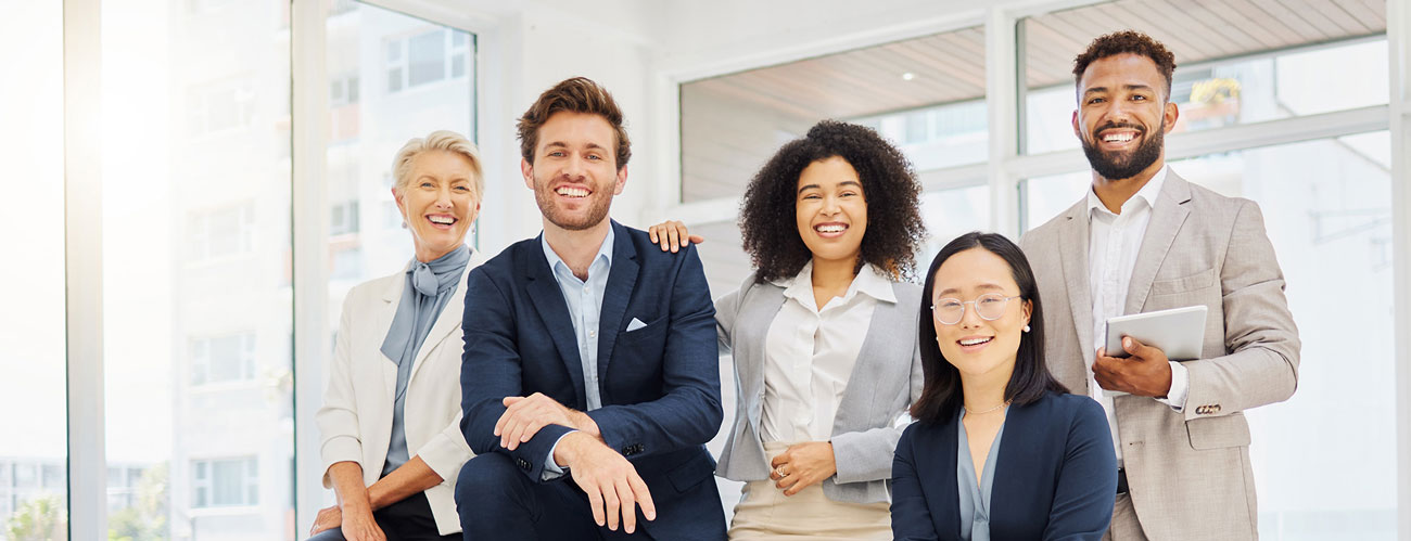 About us | AlfaPeople US